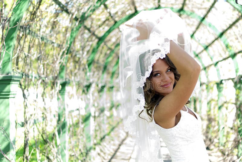 Young Cute Bride Posing with a Veil Stock Image - Image of eyes ...