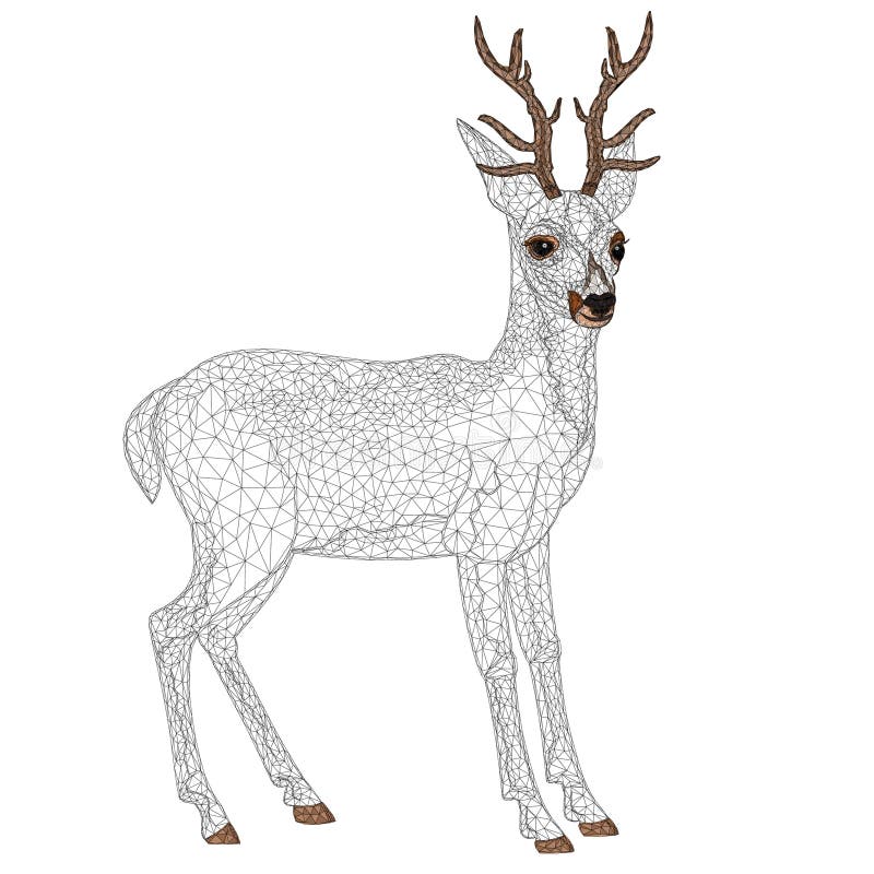 Young Deer Low-polygon Outline Background Vector Illustration Editable ...