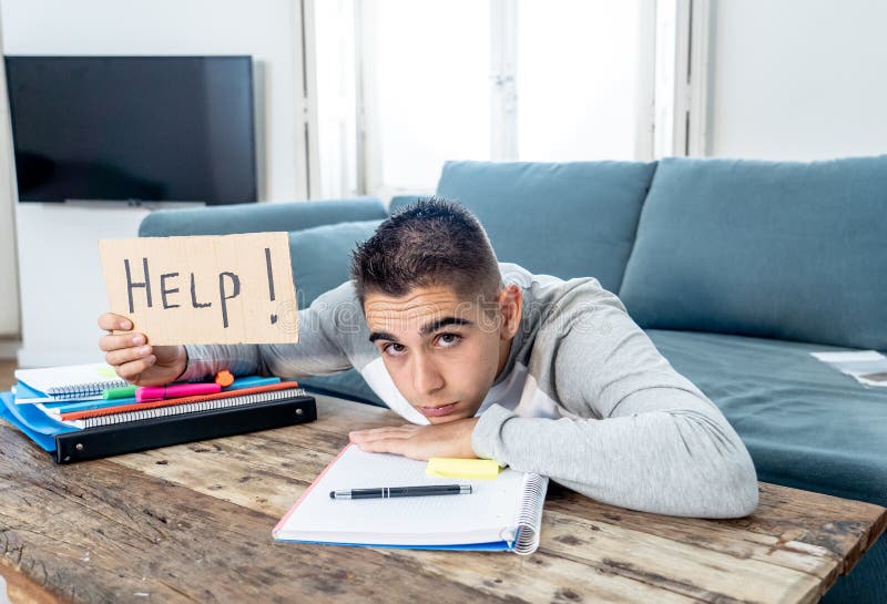 Young Desperate Student in Stress Working and Studying Holding a Help ...