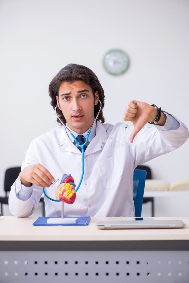 Young Doctor Cardiologist with Heart Model Stock Photo - Image of ...