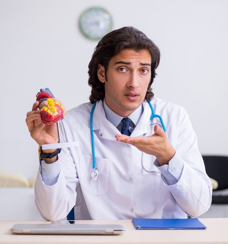 Young Doctor Cardiologist with Heart Model Stock Photo - Image of ...