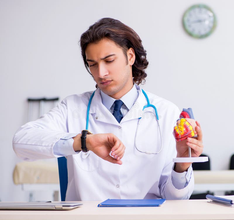 Young Doctor Cardiologist with Heart Model Stock Image - Image of ...