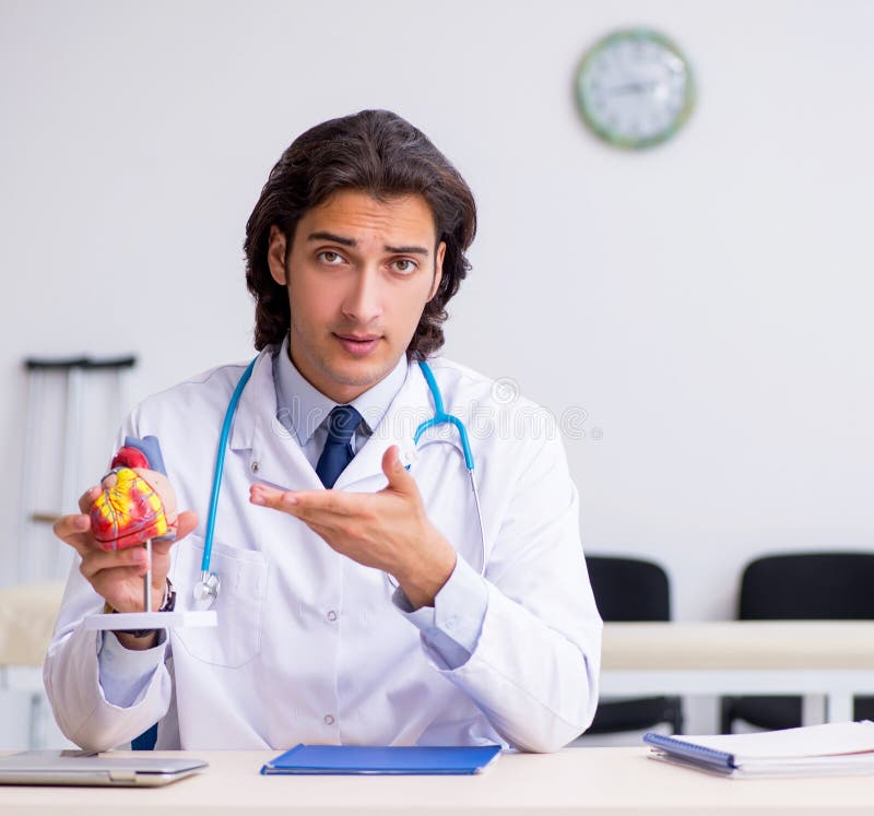 Young Doctor Cardiologist with Heart Model Stock Image - Image of case ...