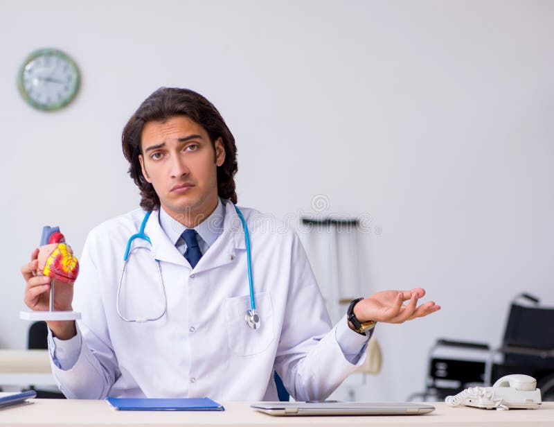 Young Doctor Cardiologist with Heart Model Stock Image - Image of ...