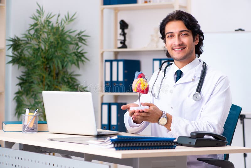 Doctor Cardiologist Holds Red Heart in Air Stock Image - Image of ...