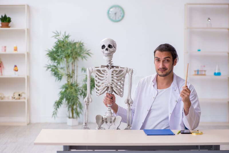 Young Male Doctor Demonstrating Human Skeleton Stock Photo - Image of ...