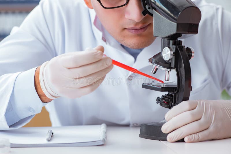 The Young Doctor Doing the Blood Test Stock Image - Image of illness ...