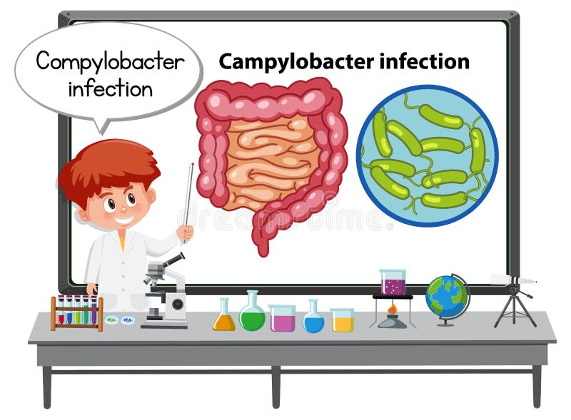 Young Doctor Explaining Campylobacter Infection Stock Vector ...