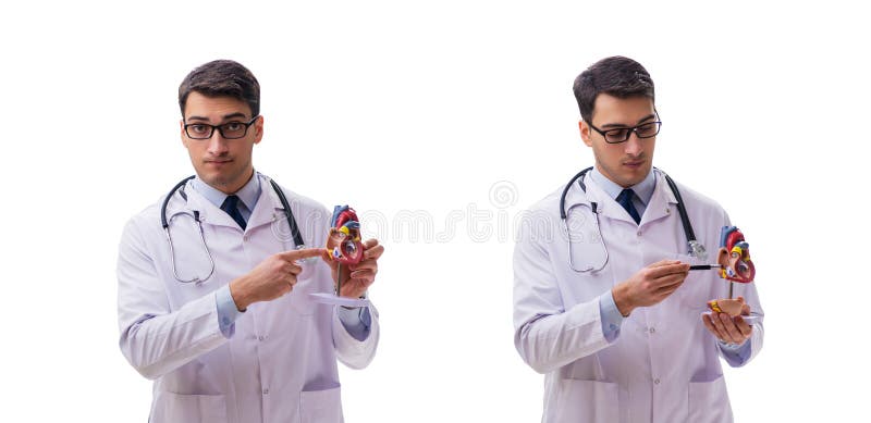 The Young Doctor with Heart Shape Isolated on White Stock Photo - Image ...