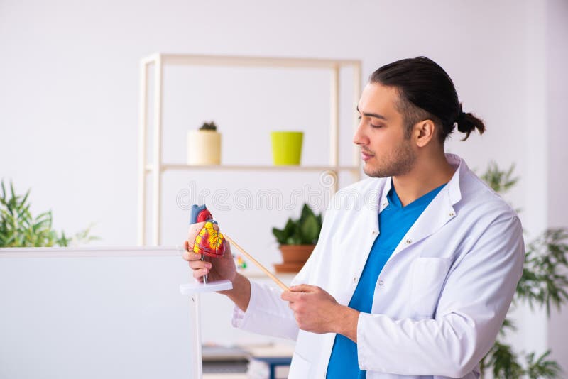 Young Male Doctor in Presentation Concept Stock Photo - Image of heart ...
