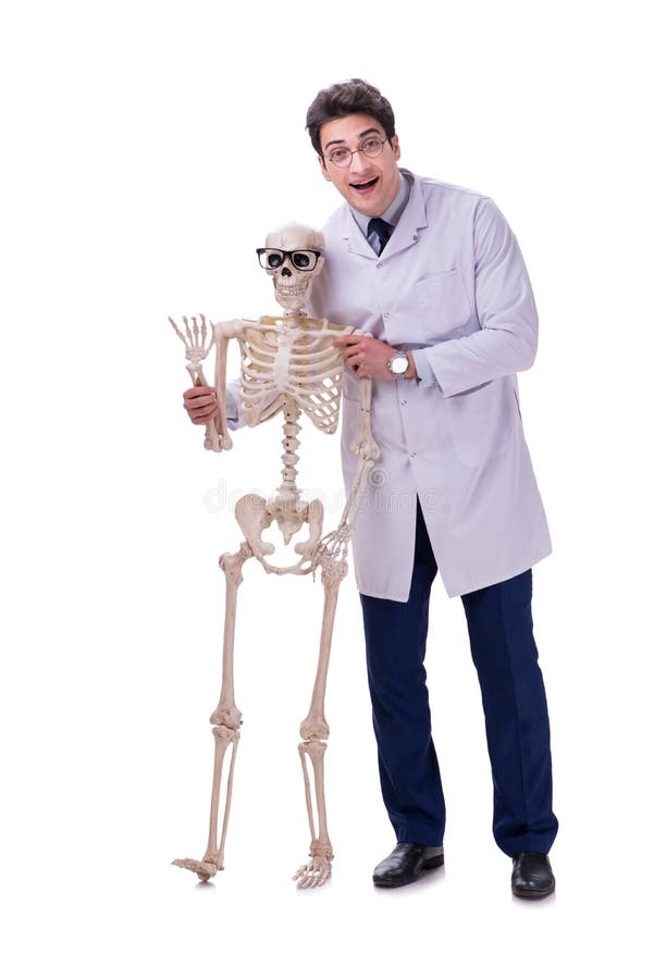 The Young Doctor with Skeleton Isolated on White Stock Image - Image of ...