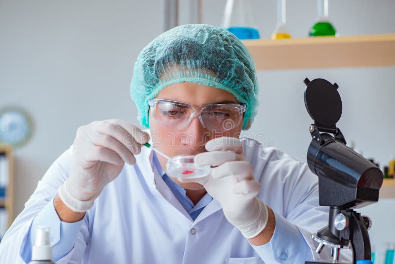The Young Doctor Working on Blood Test in Lab Hospital Stock Image ...