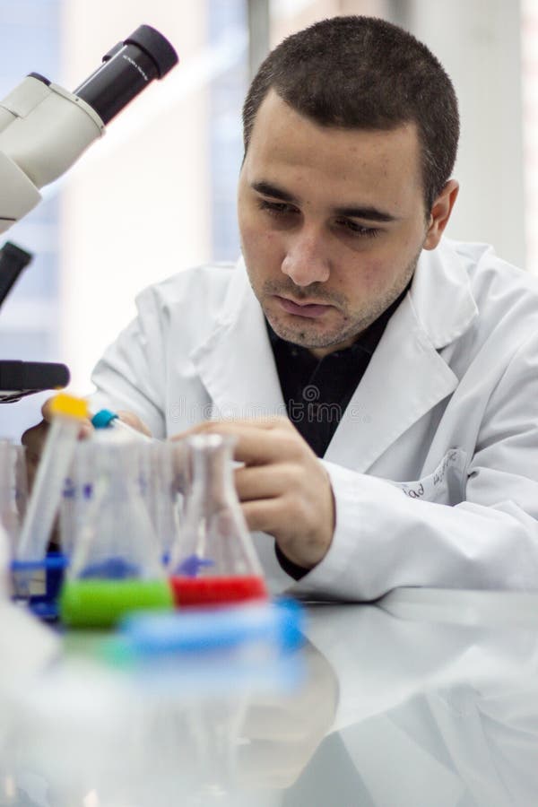 Young Doctors are Printed Some Chemical Elements on a White Boar Stock ...