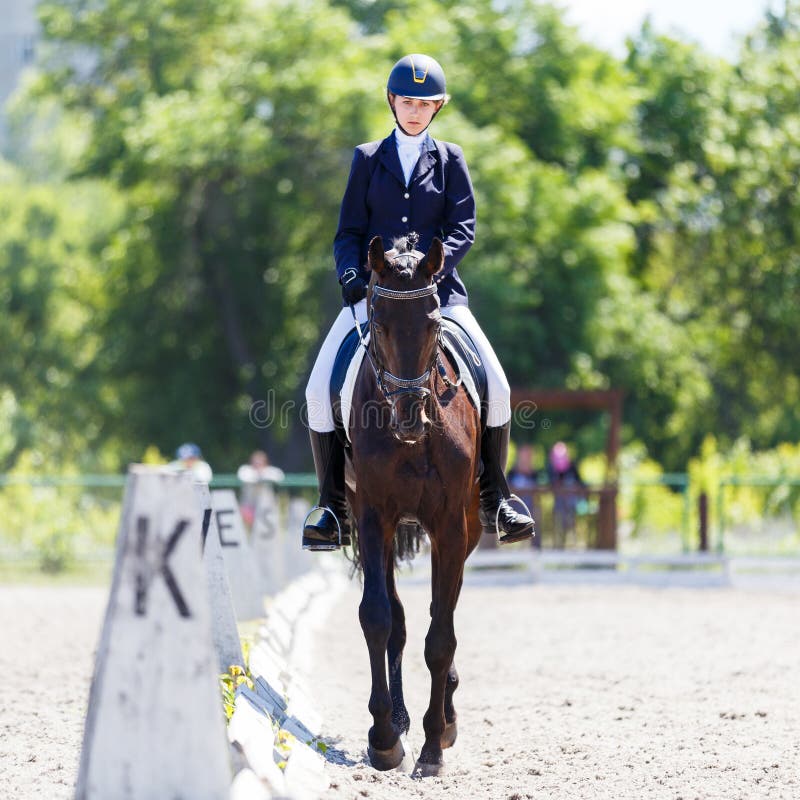 Young Equestrian Girl Performing Her Dressage Test in Equestrian ... Young Equestrian Girl Performing Her Dressage Test in Equestrian ...