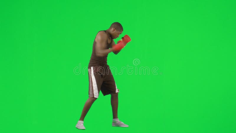 Boxing Green Screen Stock Footage & Videos - 316 Stock Videos