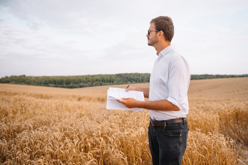 Young Farmer Engineer Standing on Wheat Field Stock Image - Image of ...