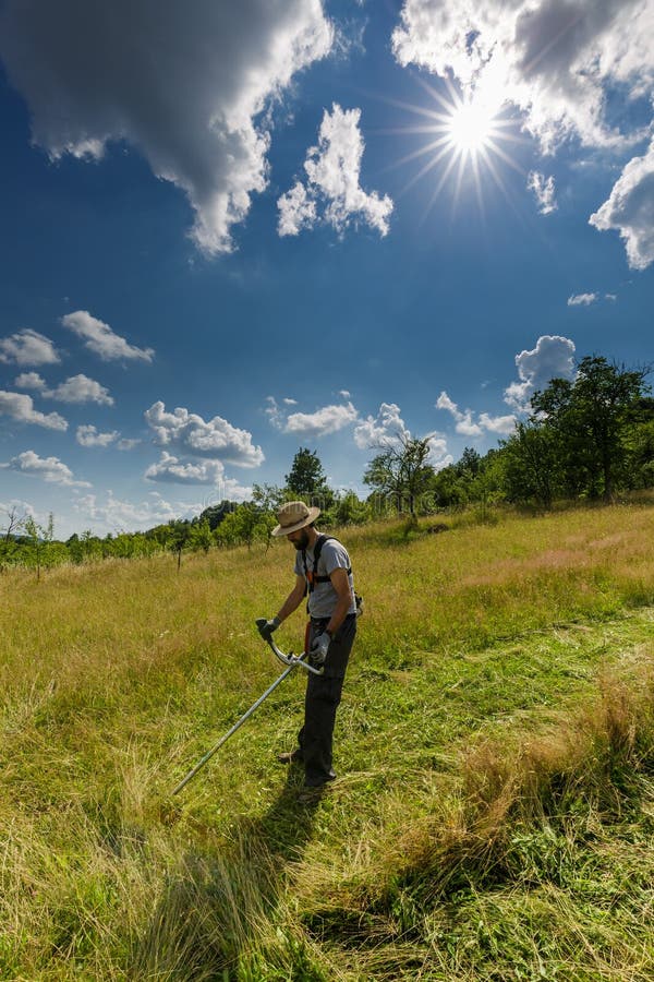 Farmer Mowing the Lawn stock image. Image of farming - 54706381