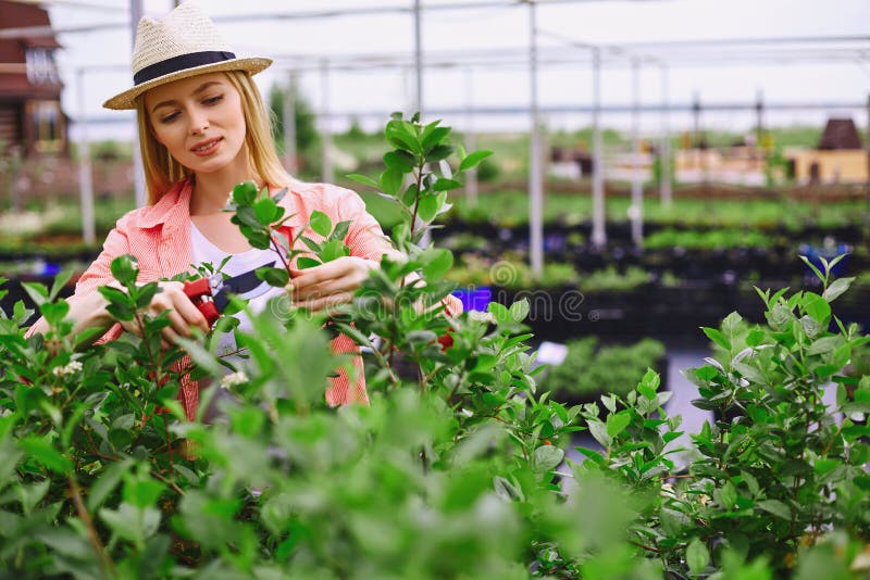 Young farmer stock photo. Image of plant, nature, gardening - 57482882