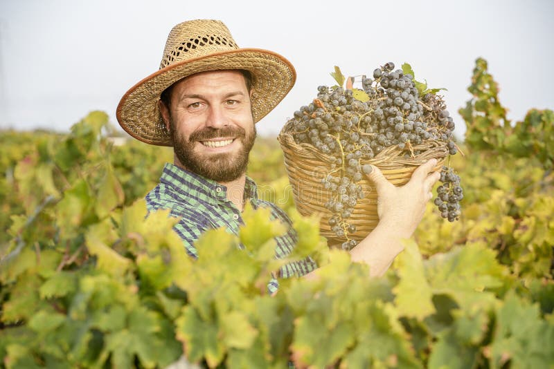 Young farmer smiling stock photo. Image of farmer, farm - 230986820