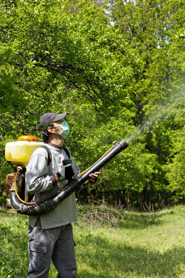 Young Farmer Spraying the Trees with Chemicals Stock Photo - Image of ...