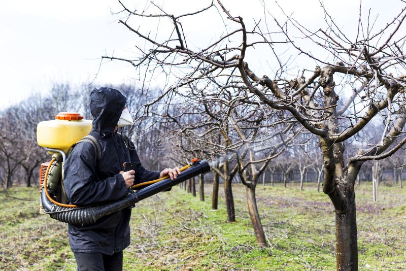 Young Farmer Spraying the Trees with Chemicals Stock Photo - Image of ...