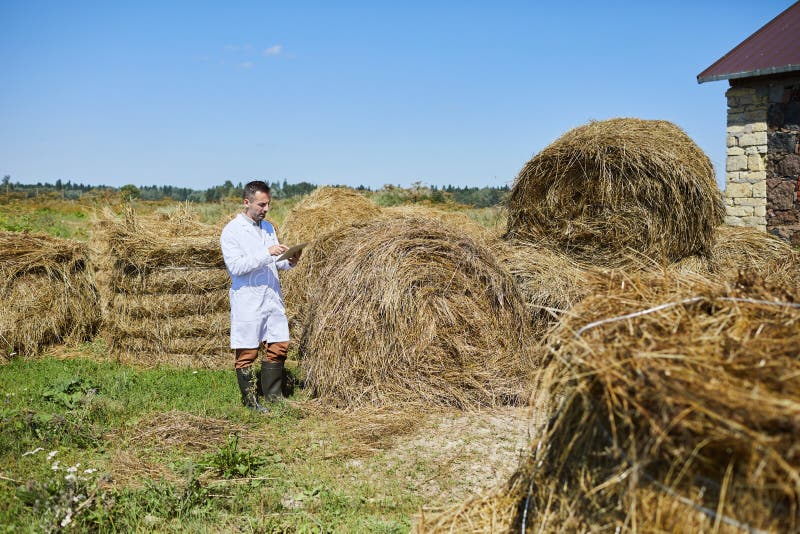 Farmer of Contemporary Kettlefarm Stock Image - Image of country ...