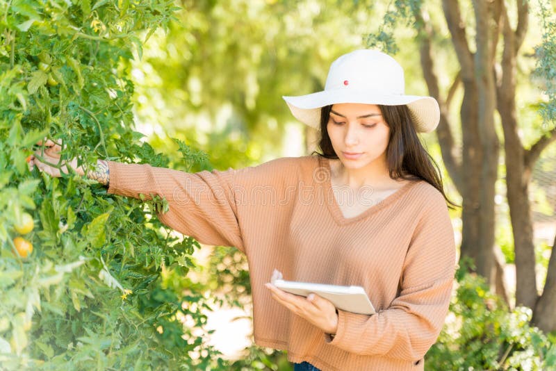 Young Farmer Using Digital Tablet at Farm Stock Image - Image of ...