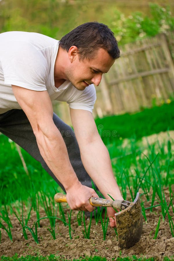 Young farmer working stock image. Image of attractive - 6767595