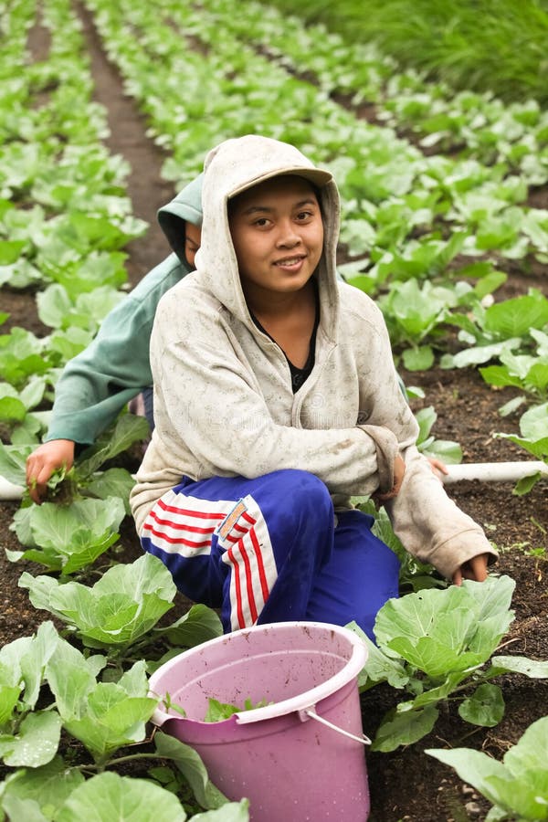 Young farming girls editorial photography. Image of indonesia - 23441252