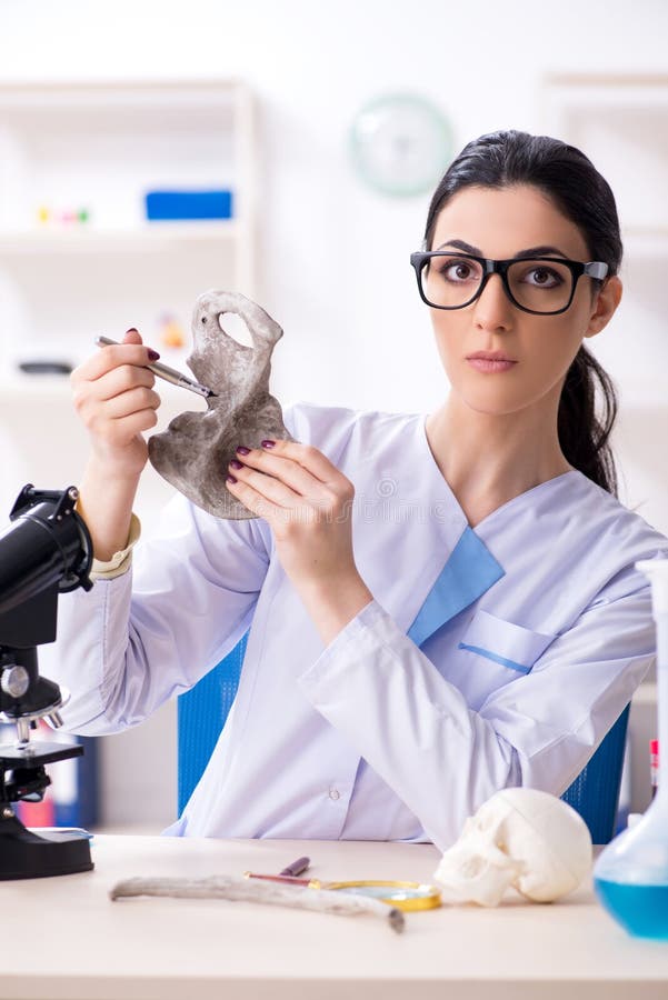 The Young Female Archaeologist Working in the Lab Stock Image - Image ...