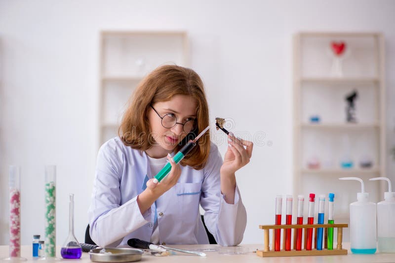 Young Female Chemist Working at the Lab Stock Image - Image of doctor ...