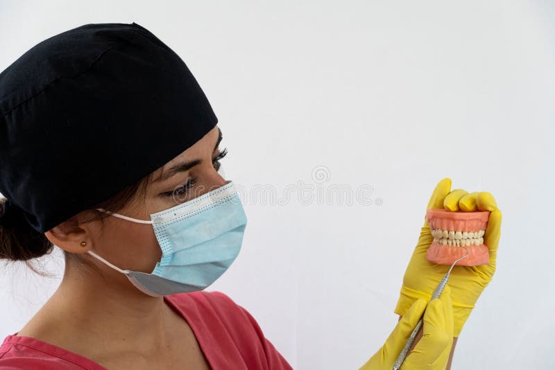 Young Female Dentist Explaining the Work Process on a Teeth Model Stock ...