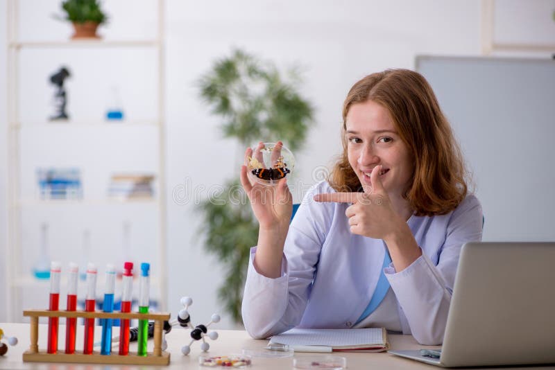 Young Female Entomologist Working at the Lab Stock Image - Image of ...