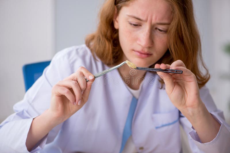 Young Female Entomologist Working at the Lab Stock Photo - Image of ...