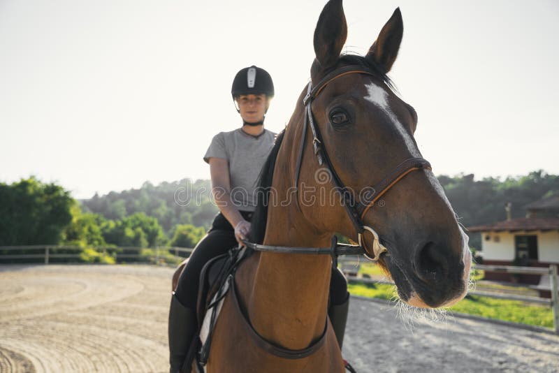 Female Equestrian Riding a Horse Stock Photo - Image of woman ...