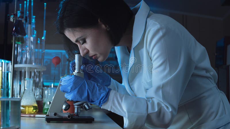 Young Female Scientist Looking Down a Microscope Stock Image - Image of ...
