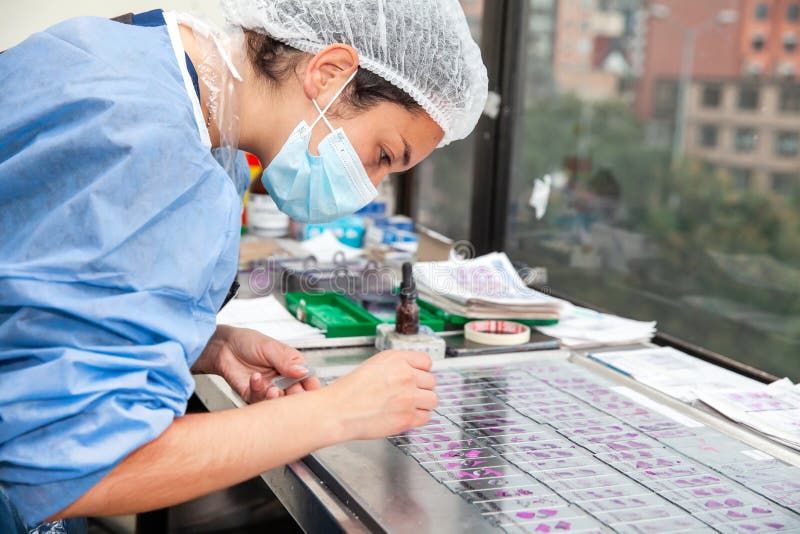 Young Female Scientist Preparing Slides with Paraffin-embedded Sections ... Young Female Scientist Preparing Slides with Paraffin-embedded Sections ...