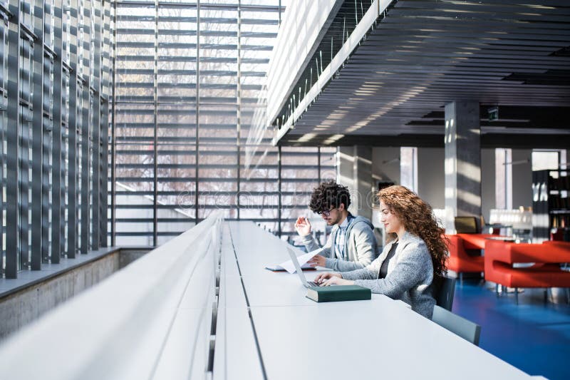 Young Female Student in Library, Focusing on Final Project ...