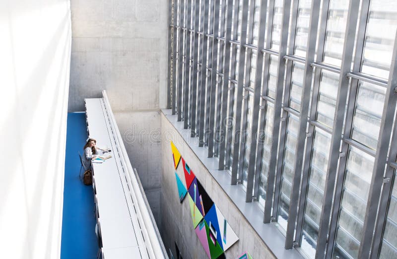 Young Female Student in Library, Focusing on Final Project ...