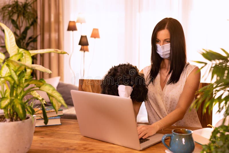 Young Female Working on Her Laptop Computer with Her Poodle Dog Stock ...