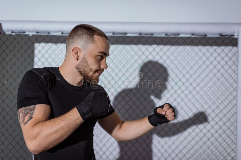 Young fighter training stock photo. Image of muscles - 106197954