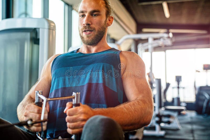 Young Muscular Man during Workout in the Gym Stock Image - Image of ...