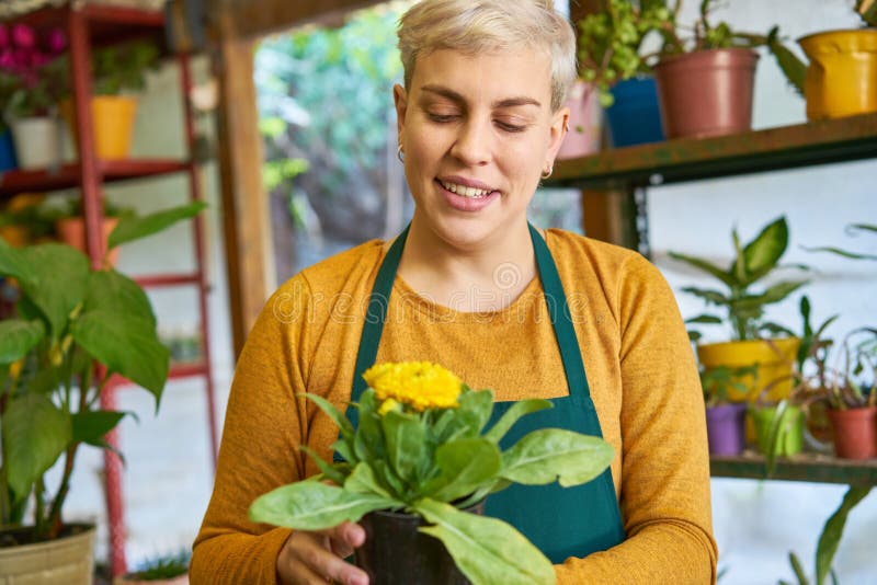Young Florist Controls Quality of Breeding Stock Image - Image of ...