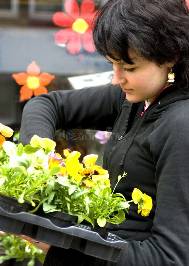 Young Florist with Spring Flowers Stock Image - Image of florist, busy ...