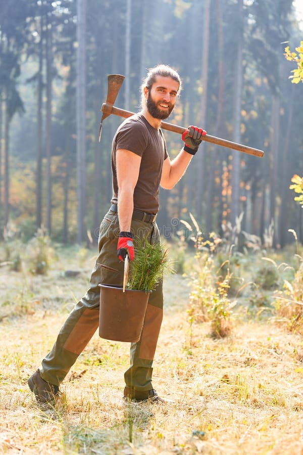 Young Forest Worker at the Afforestation Stock Photo - Image of timber ...