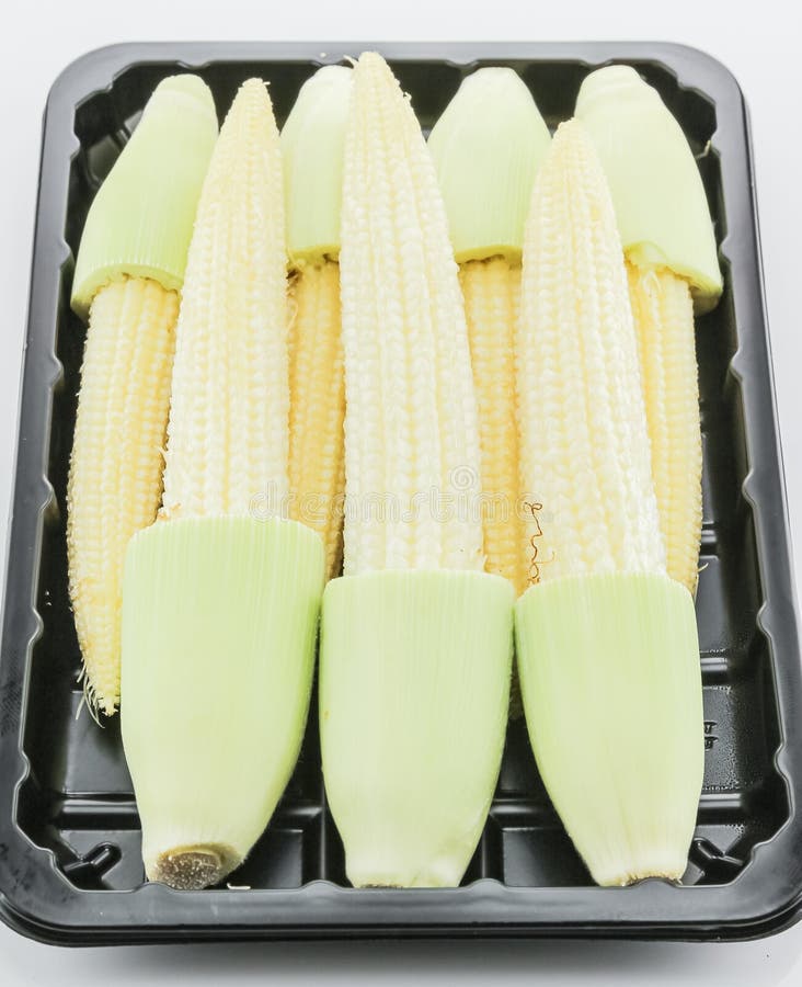Young fresh corn in pack stock photo. Image of container - 46971602
