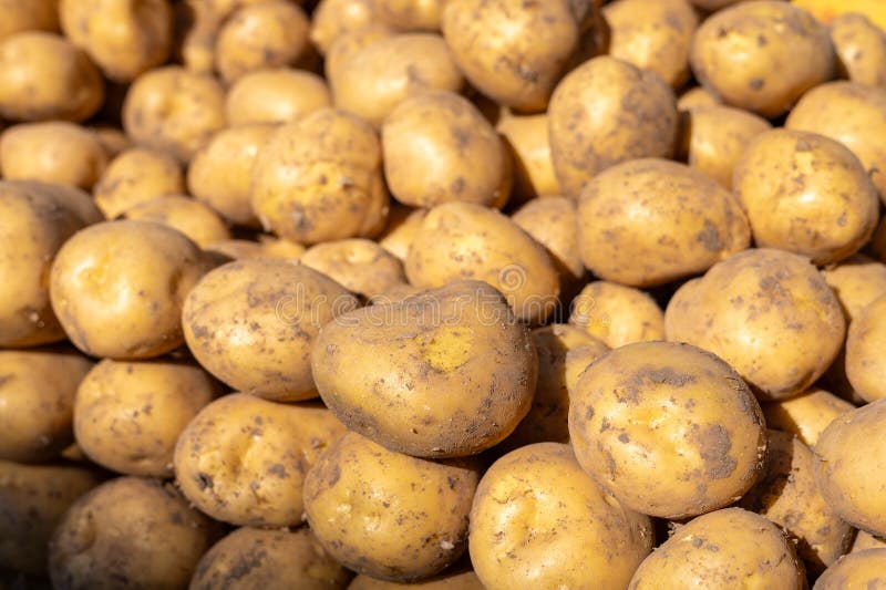 Young Fresh Potatoes Bazaar Counter Stock Photos - Free & Royalty-Free ...