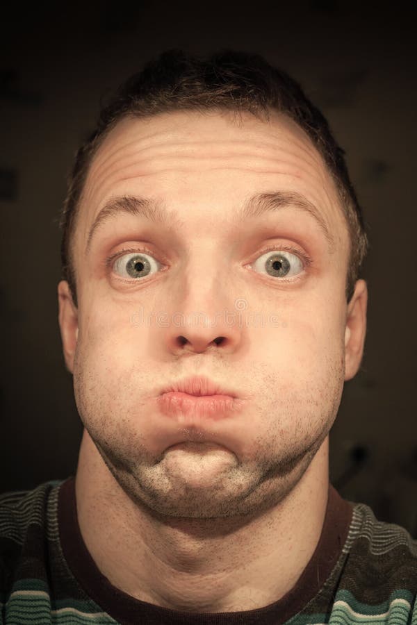 Silly Monkey Face stock photo. Image of adult, cheeks - 12979128