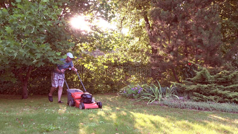 Landscaper Man Mowing Grass between Flowers and Fruit Trees in Garden ...