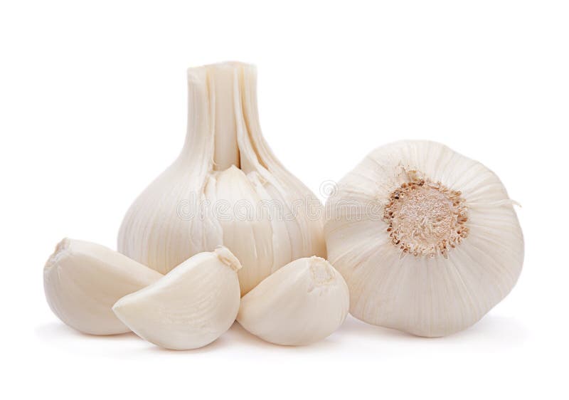 Young garic vegetable stock photo. Image of garlic, aromatic - 41787086